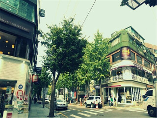 韩国林荫路 林荫路 最美林荫路 第10页 大山谷图库