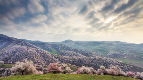 伊犁杏花沟8月,伊犁杏花沟,7月杏花沟_大山谷图库